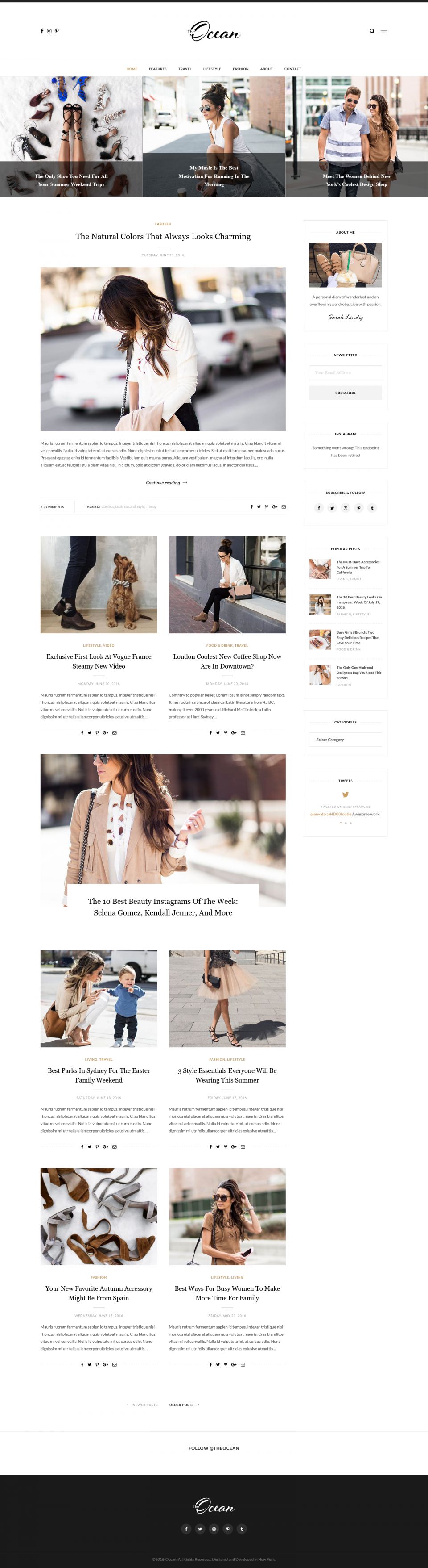 ThemeForest Ocean v1.1.0 [16817859] - template for a personal blog with ...